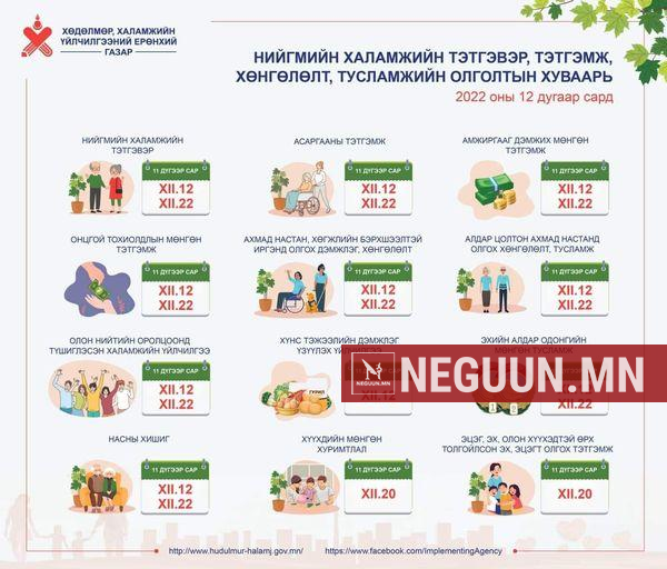 ЭНЭ САРД ОЛГОХ ХҮҮХДИЙН МӨНГӨ ТЭТГЭВЭР ТЭТГЭМЖИЙН ХУВААРЬ Neguun Mn